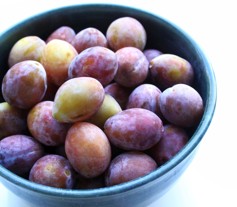 Sugar plums poached in verjuice – Simple food